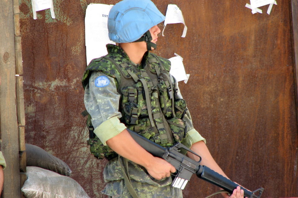 System för fred - Voister